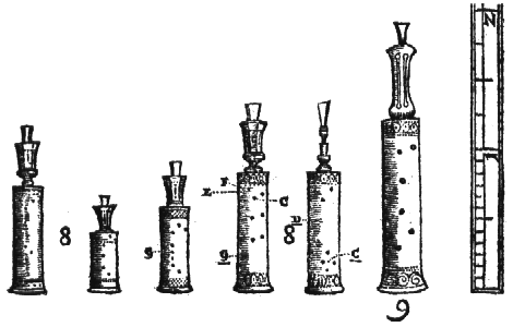 Rankett - Musikinstrumente - Musik-Lexikon